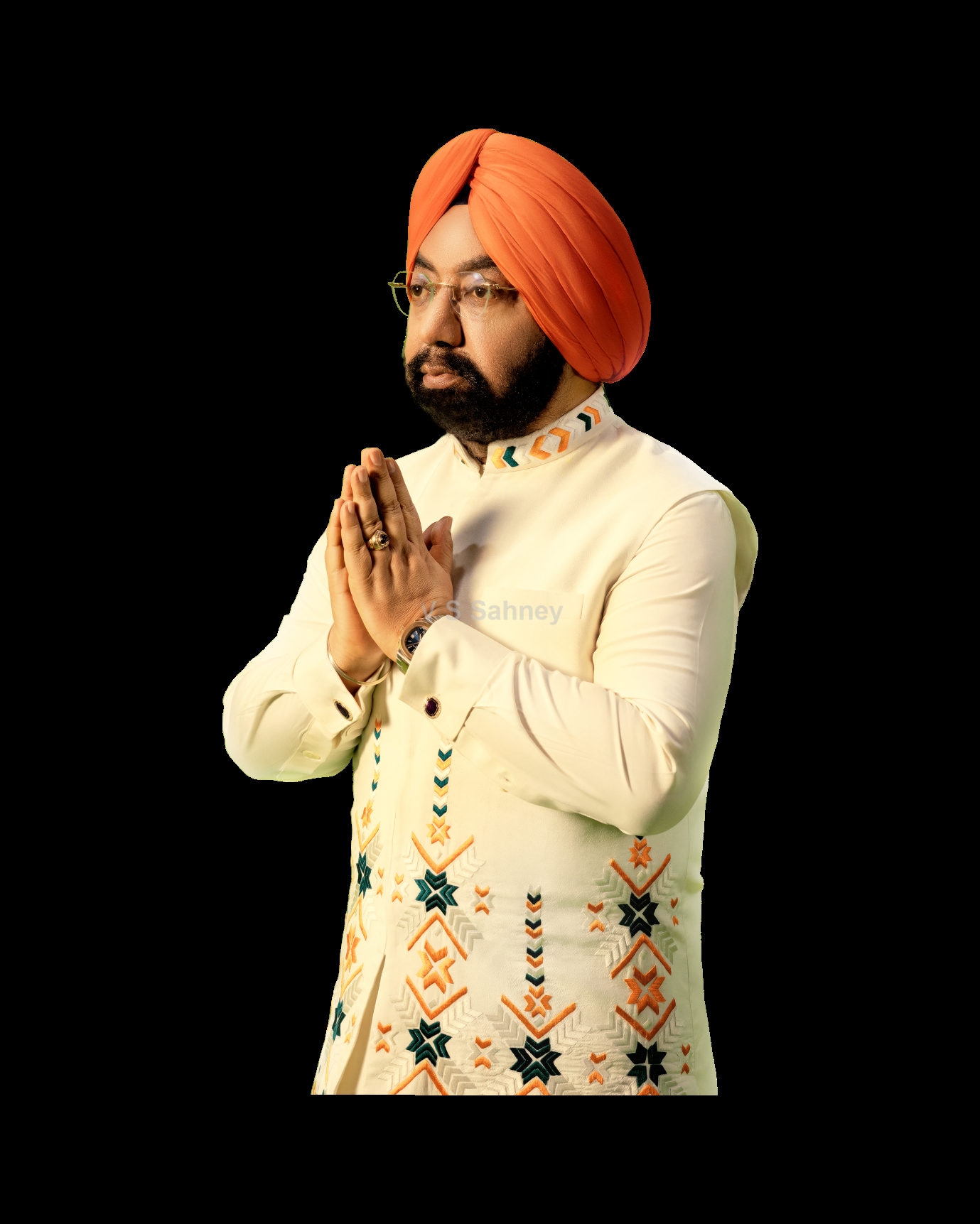 Member of Parliament – Vikramjit Singh Sahney